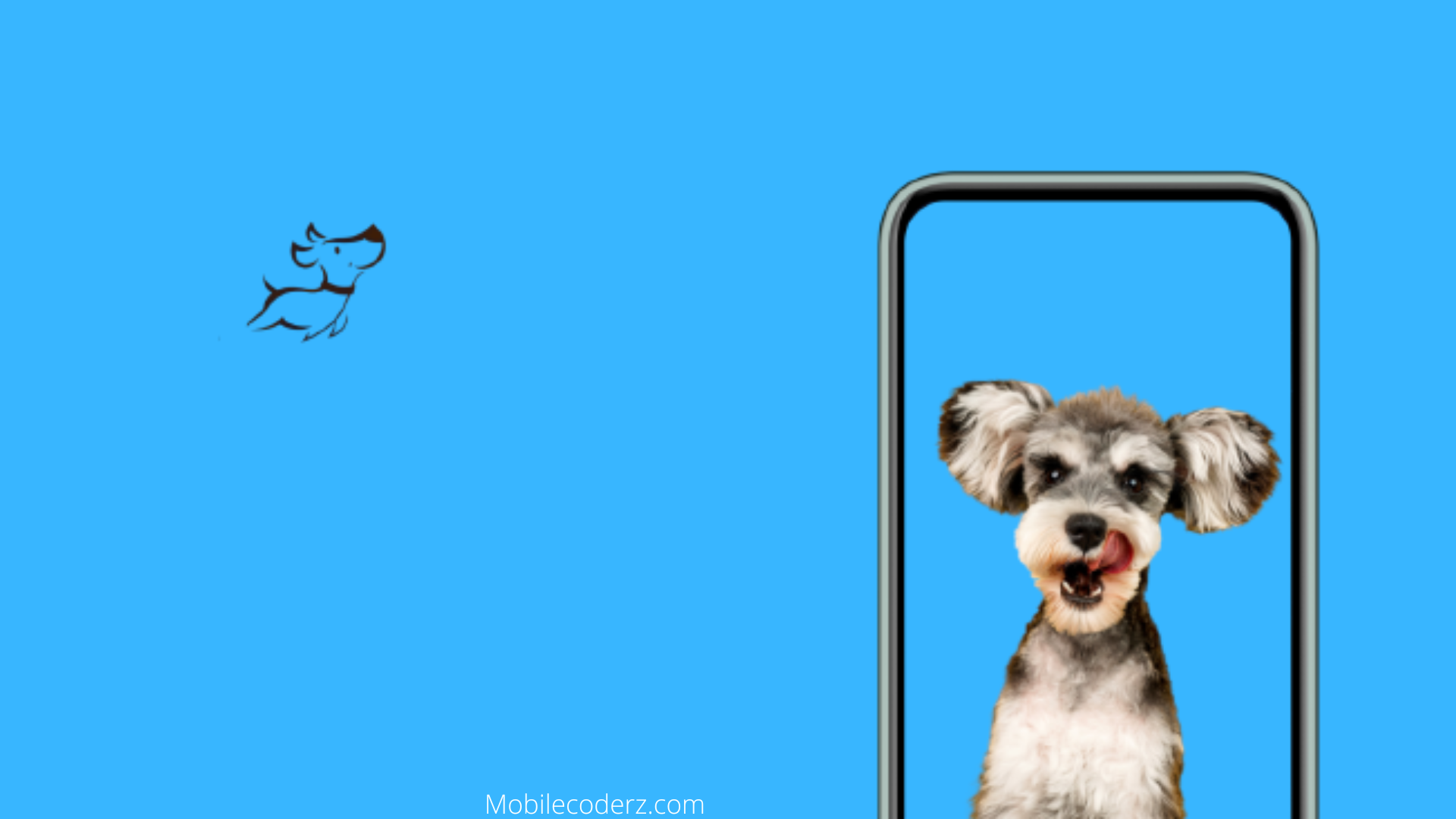 A Complete Guide To Pet Care App Development Pet Fact A Complete Guide To Pet Care App Development Pet Fact