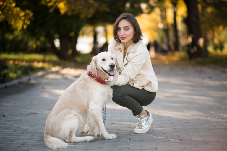 New Animal Protection Laws Bring Positive Changes for Pets in 2026